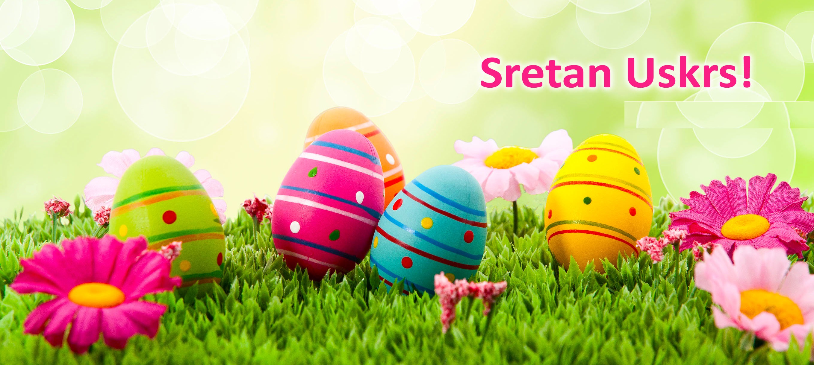 Srećan Uskrs – ZEDO ovisnost